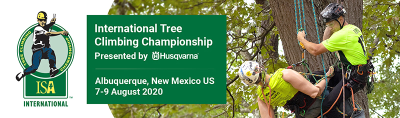 International Tree Climbing Championships